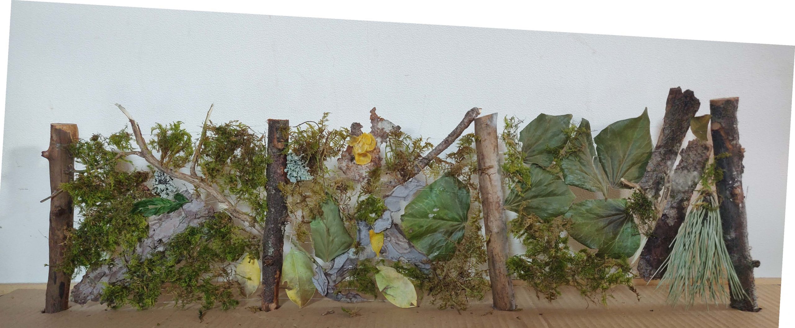 La fresque au Som'met - ARCHI'Nature | ARCHI'Nature